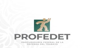 ᐅ ¿Qué es la PROFEDET y cuáles son sus funciones principales?