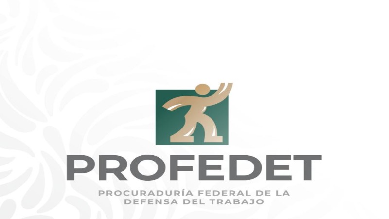 ᐅ ¿Qué es la PROFEDET y cuáles son sus funciones principales?